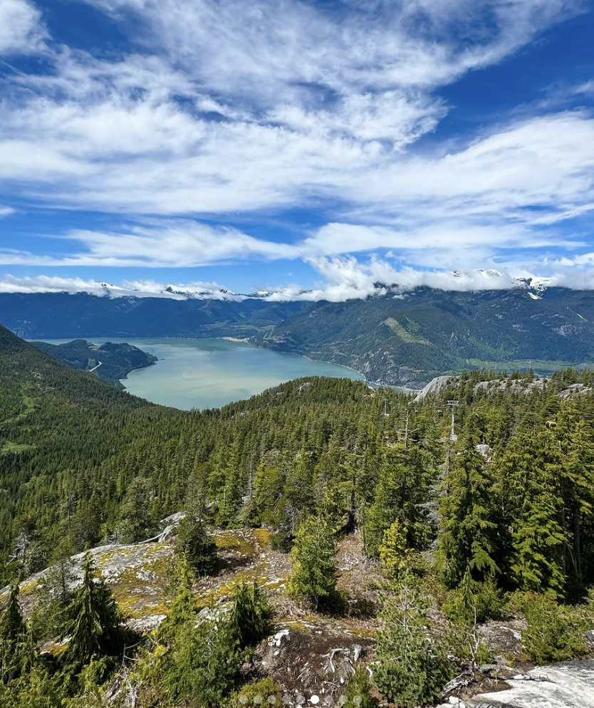 Arielle Calderon • Pillar